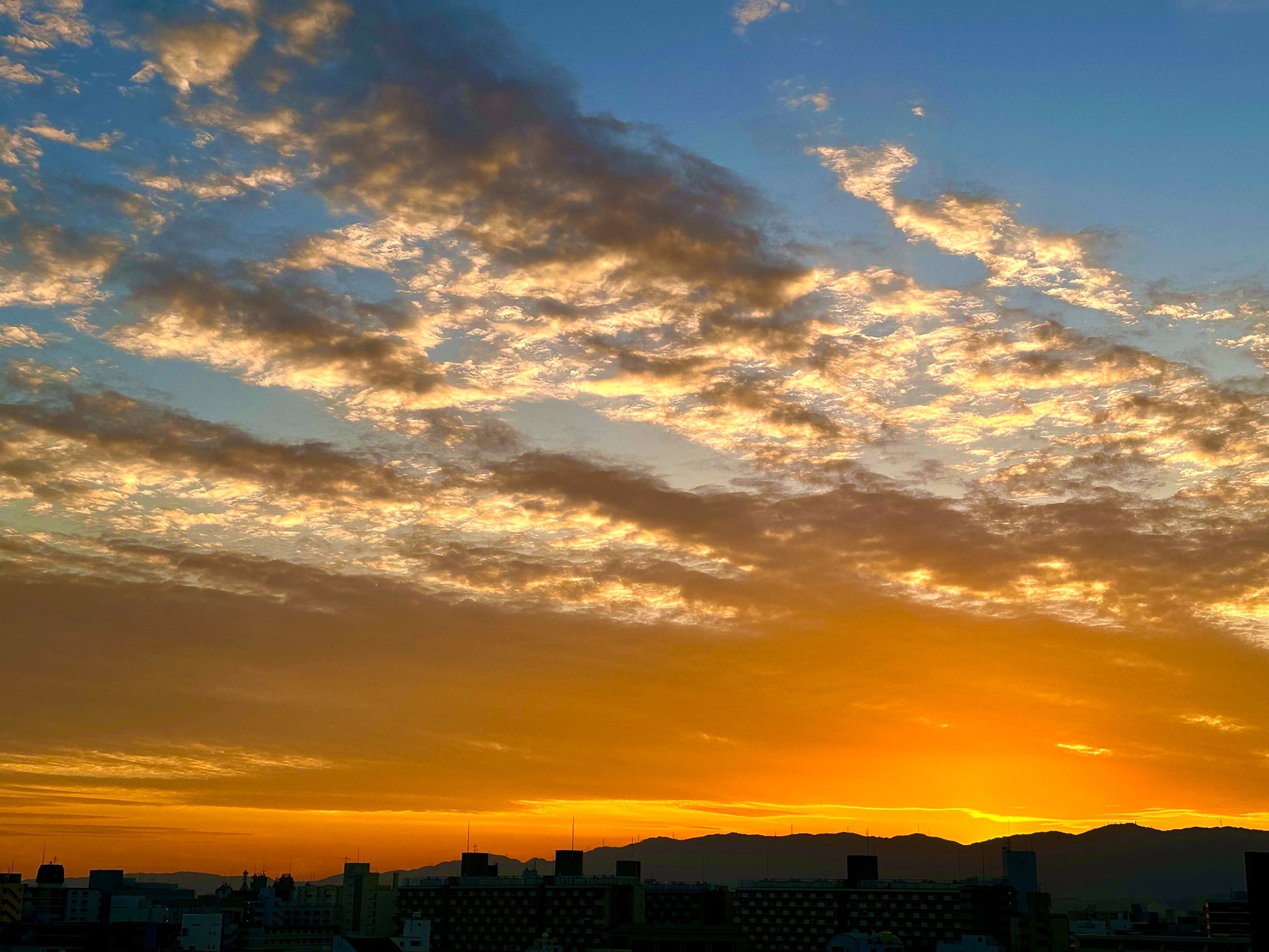 オランダ親友からの贈り物＆NHK妙慶先生の『心が楽になる講座』へと、、、: 京の空、山々、光と花々