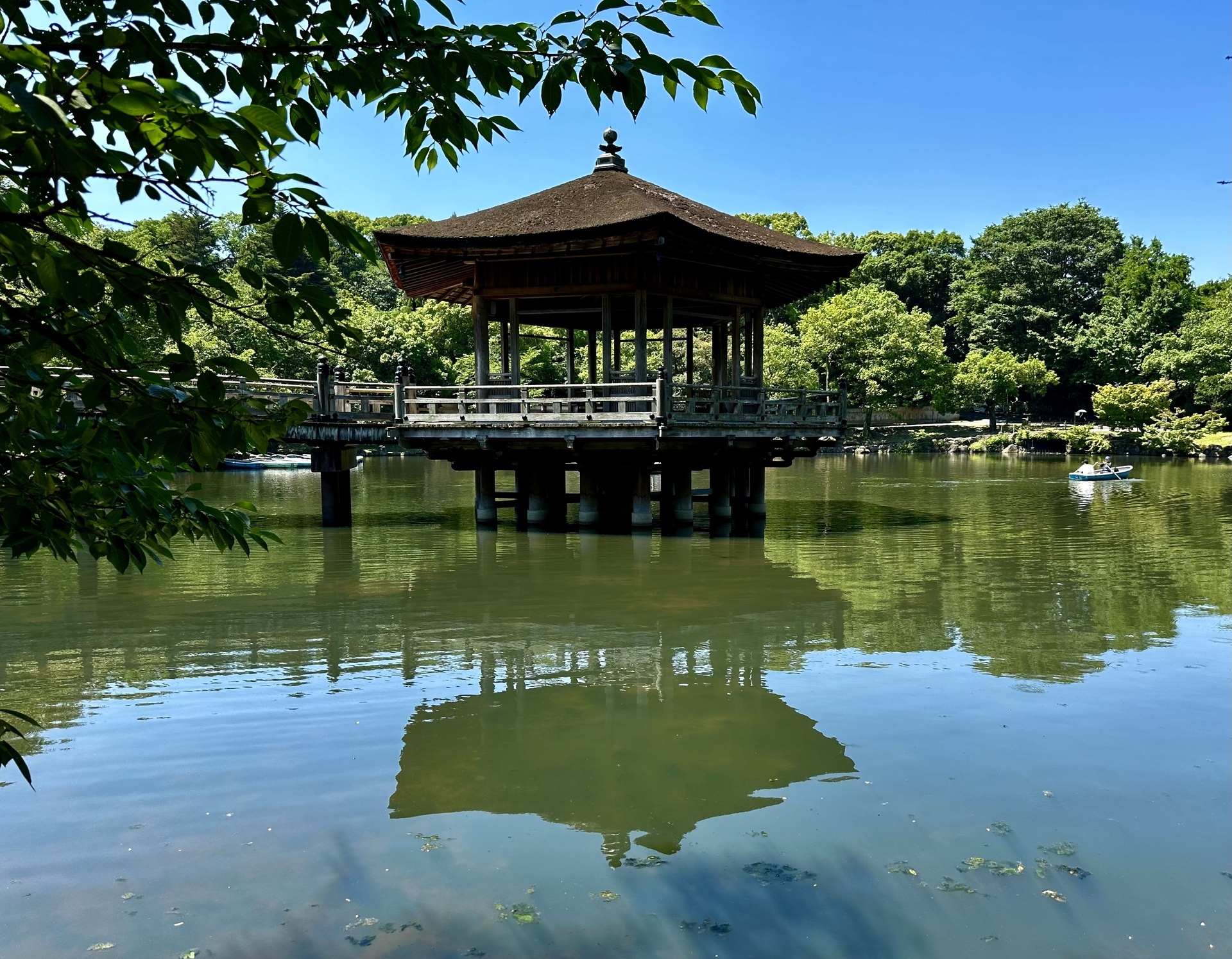 久しぶりの奈良、大阪行き＆友人のピアノコンサート: 京の空、山々、光と花々